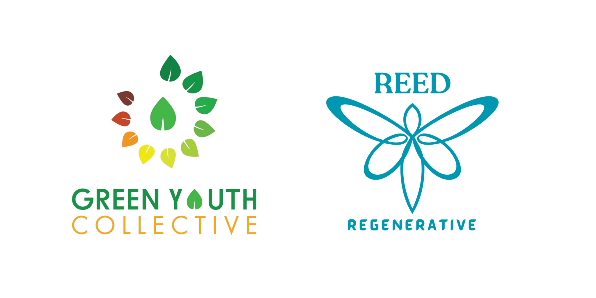Introduction: More to read about Green Youth Collective & REED ...